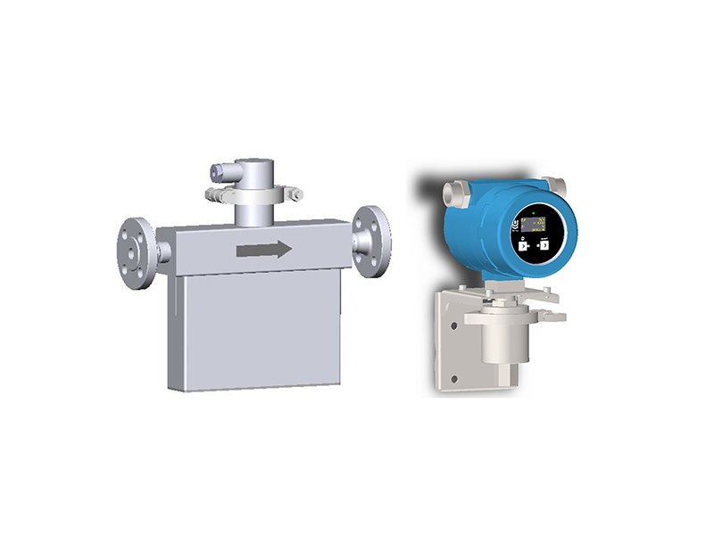 Coriolis Mass Flowmeter_Liquid Density Meter | Add Value Flow Metering ...